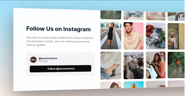 Instagram Section - Embed Instagram Feed On Any Website