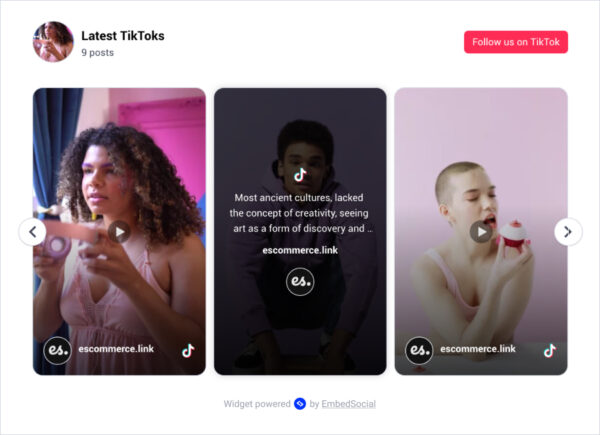 TikTok Feed for Wix | EmbedSocial