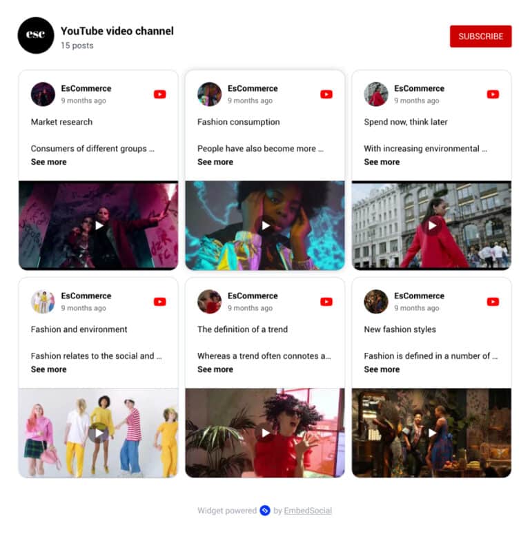 Examples of Social Media Feeds for Any Website - EmbedSocial