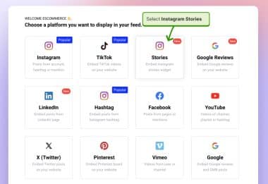 How to Embed Instagram Stories On Your Website In 2025? - EmbedSocial