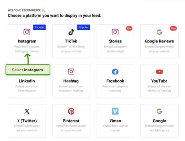 How to Embed Instagram Feed on Website for FREE in 2025