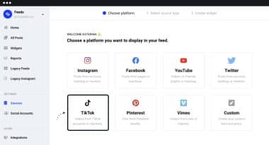 How to Embed TikTok Videos on Any Website [Step-by-Step]