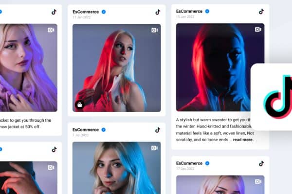 How to Embed Social Media Widgets Tutorials - EmbedSocial