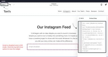 How to Embed TikTok Videos on Any Website [Step-by-Step]