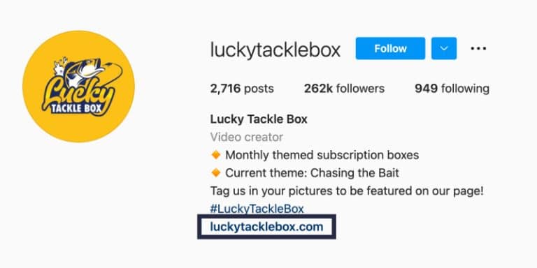 15 Examples Of Instagram Link In Bio Pages Design and Use - EmbedSocial