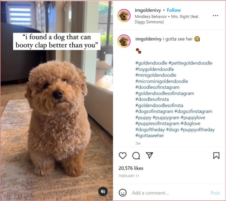 The Top Instagram Reels Trends Right Now