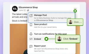 How to Embed Social Media In Website? All Options - EmbedSocial