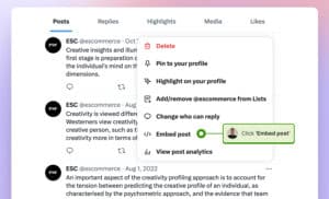 How to Embed Social Media Feed on Your Website? [All Platforms ...