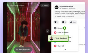 How to Embed Social Media Feed on Your Website? [All Platforms ...