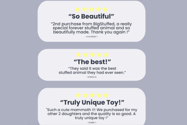 How UGC Impacts Consumer Decision-Making Process? + Examples