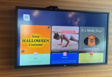 10 Best Instagram Feed on Website Examples - EmbedSocial