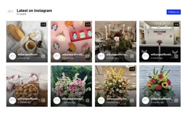 10 Best Instagram Feed on Website Examples - EmbedSocial