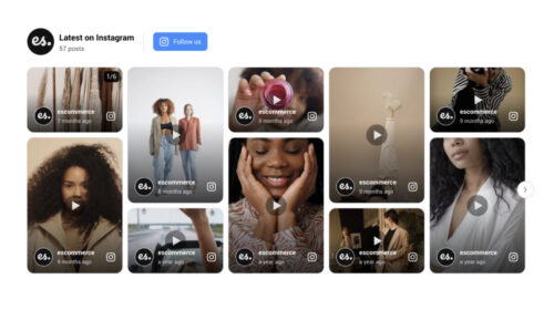 10 Best Instagram Feed on Website Examples | EmbedSocial