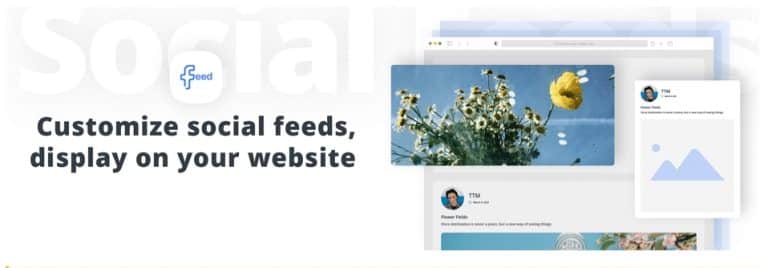 The Best WordPress Social Media Feeds Plugins - EmbedSocial