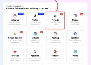 How to Embed Threads Feed Posts On Any Website for Free? - EmbedSocial