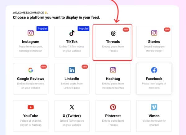 How to Embed Threads Feed Posts On Any Website for Free? - EmbedSocial