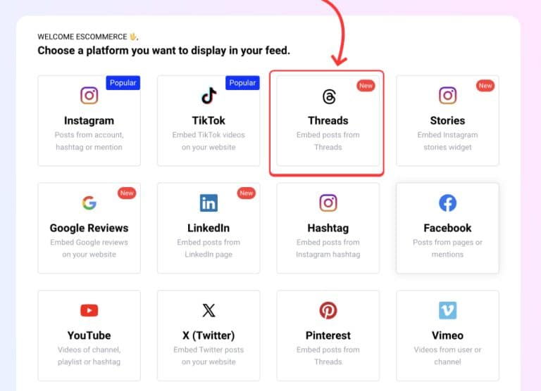 How to Embed Threads Feed Posts On Any Website for Free? - EmbedSocial