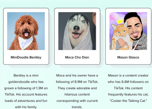 20 Best UGC Platforms for Creators + Expert Recommendations